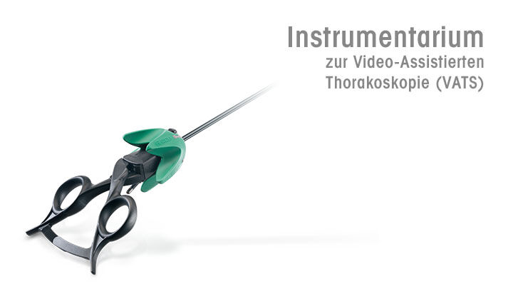 Instrument set for video-assisted thoracoscopy - Richard Wolf